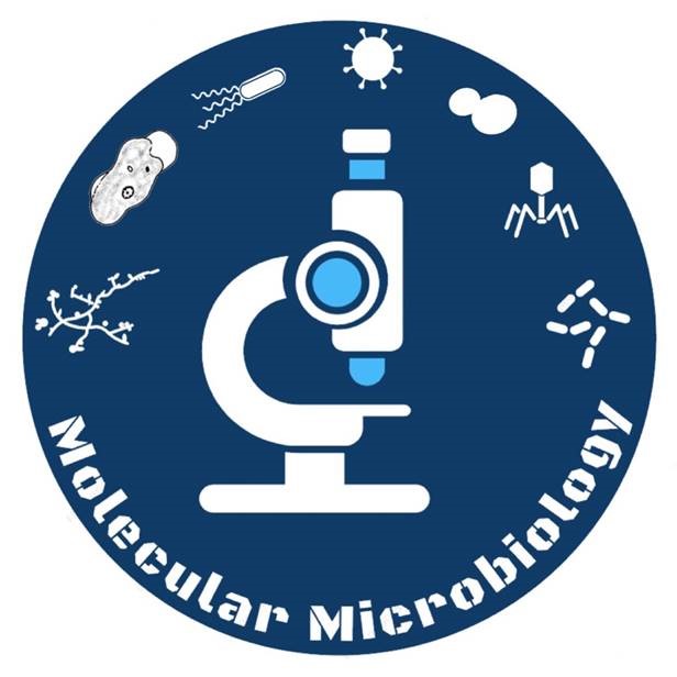 Department of Molecular - Microbiology - Technion Medicine